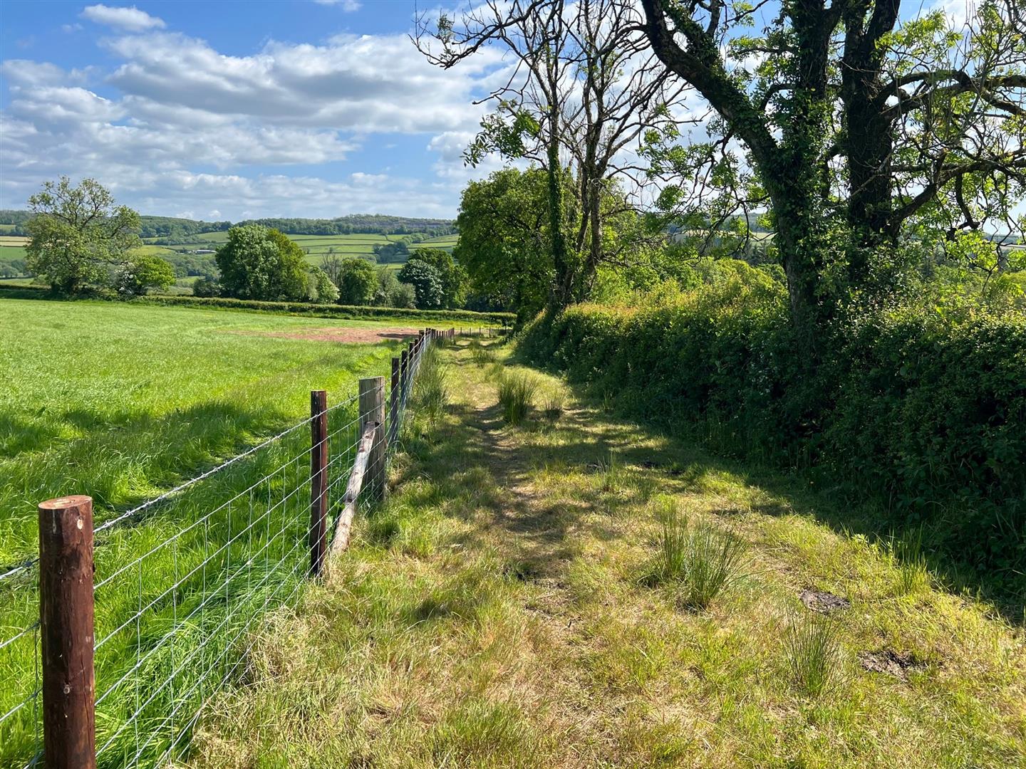 16.78 acres Woodland at Llanddarog – JJMorris